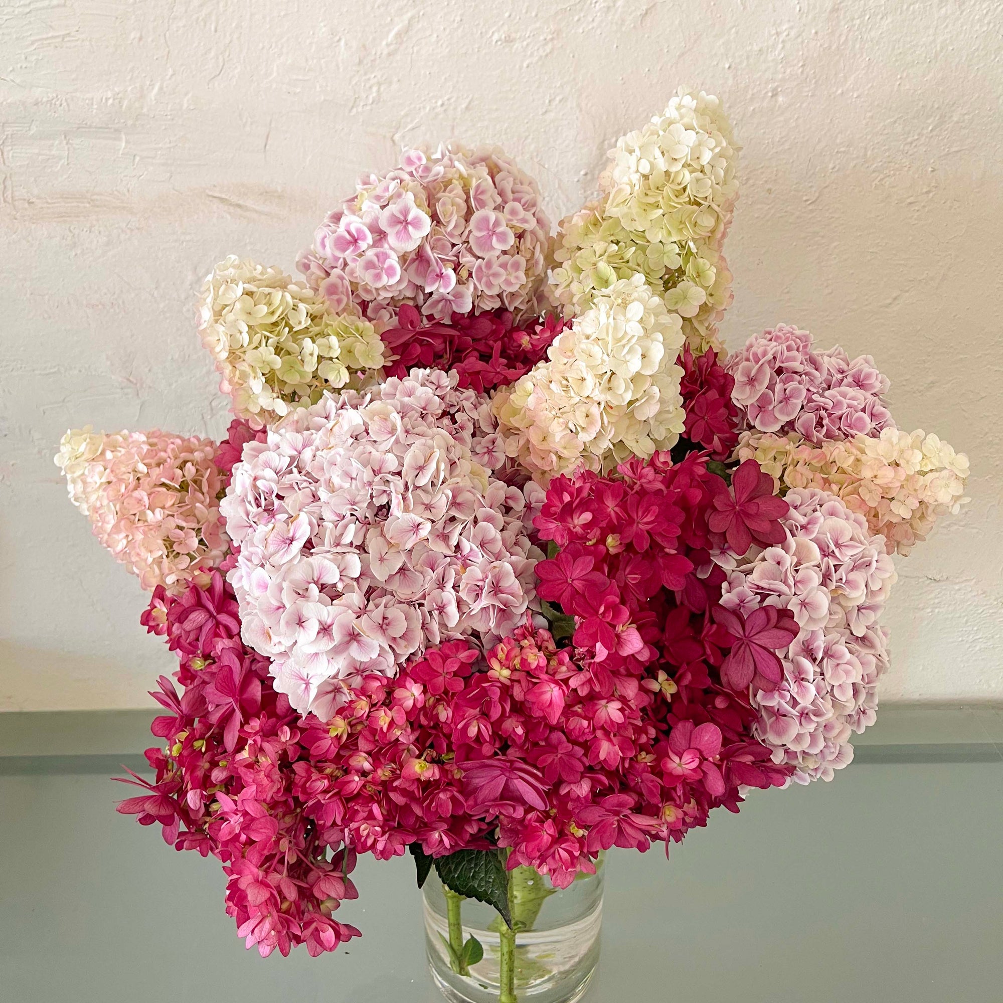 Flos Florum